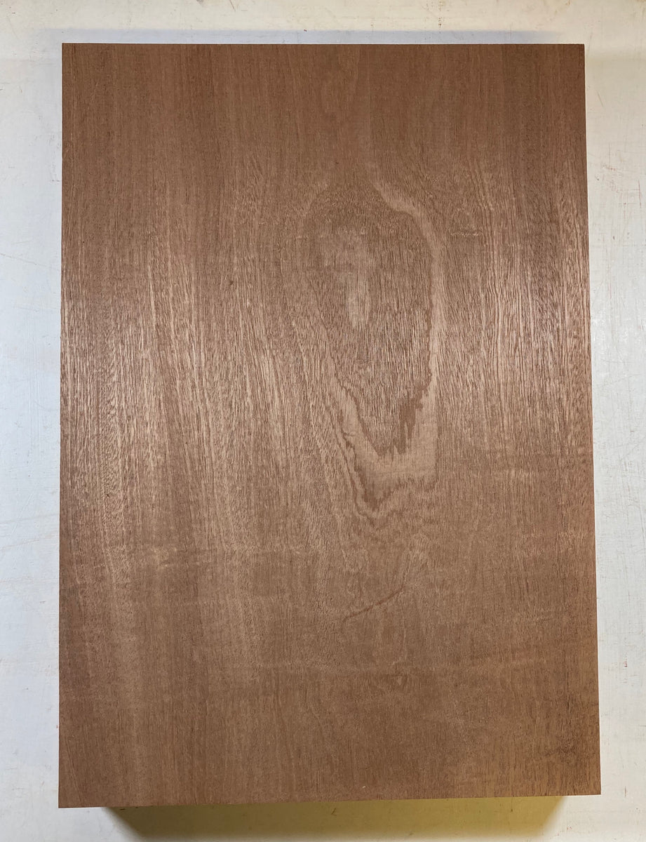Sapele Body Blank - 1 Piece #65 – Crater Guitar Supplies