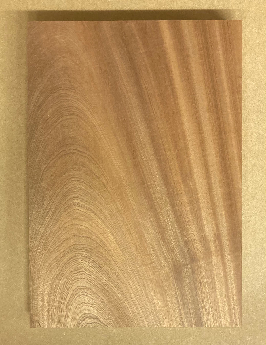 Sapele Body Blank - 1 Piece #9 – Crater Guitar Supplies